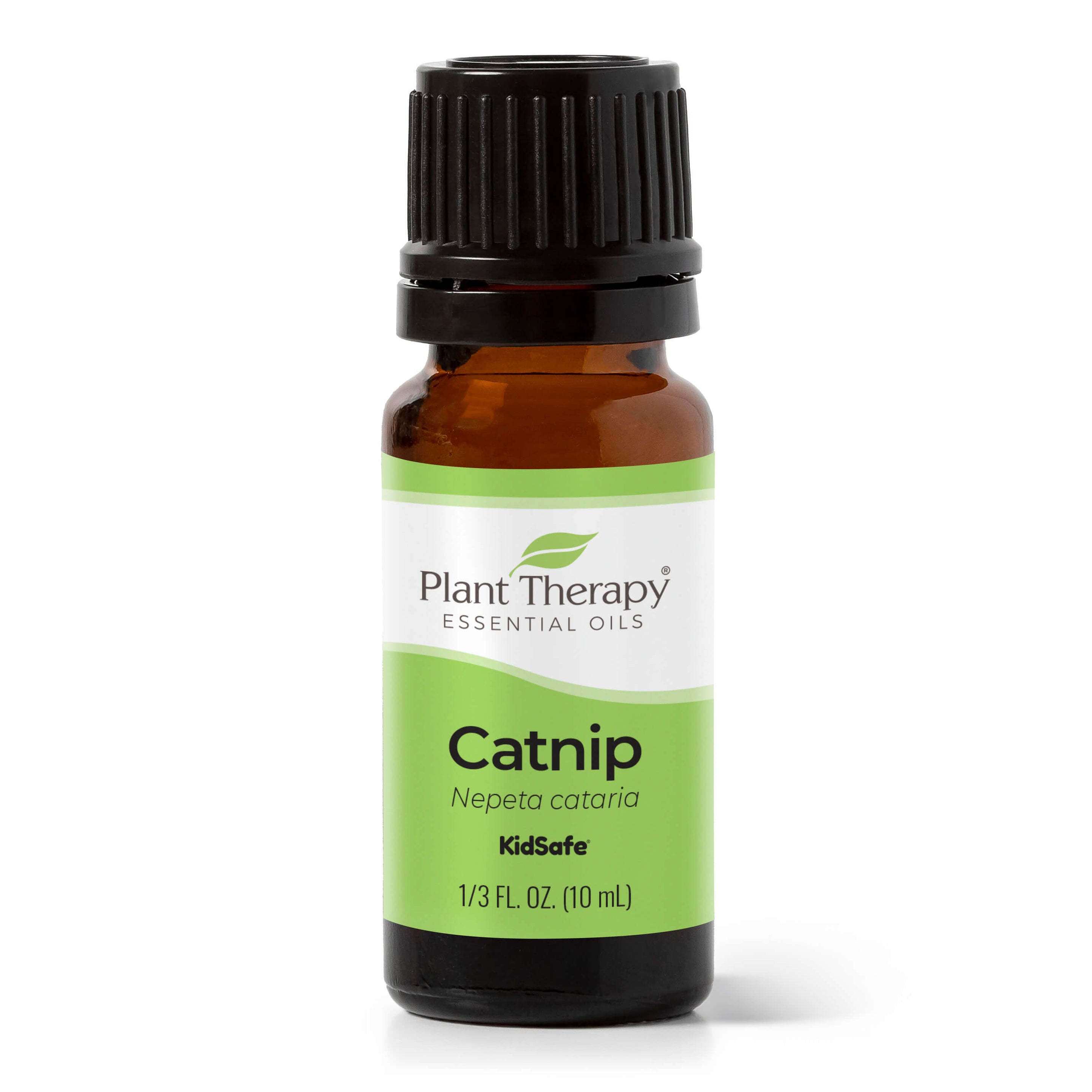 Catnip Essential Oil – Plant Therapy