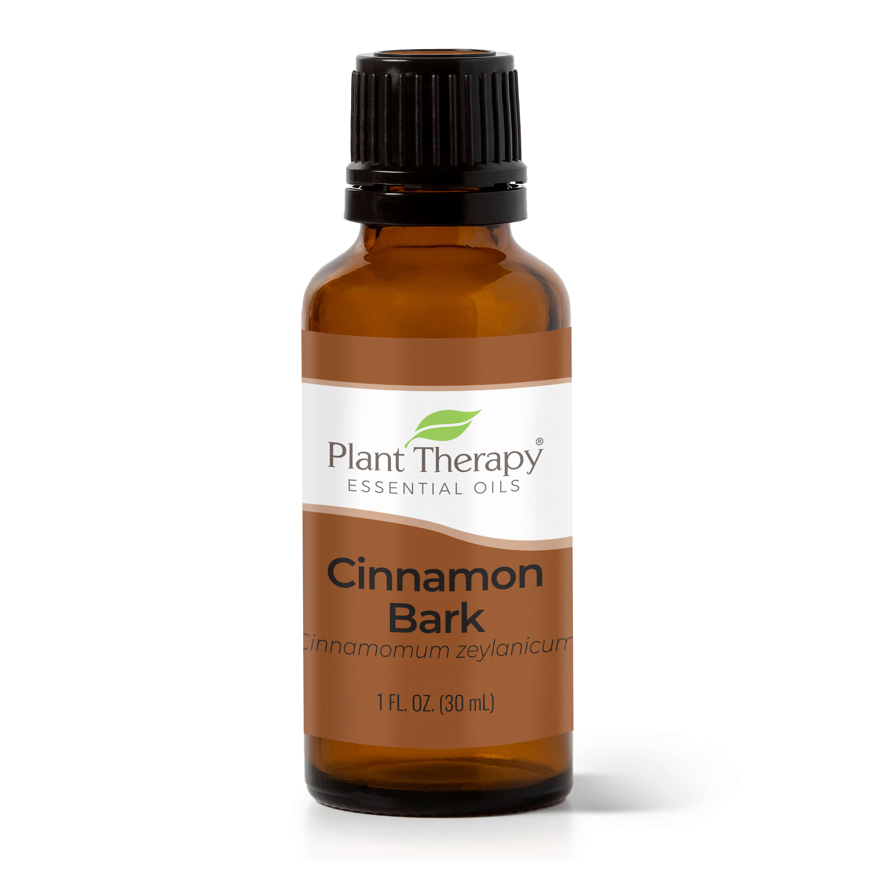 Cinnamon Bark Essential Oil | Premium Cinnamon Oil For Sale | Plant Therapy