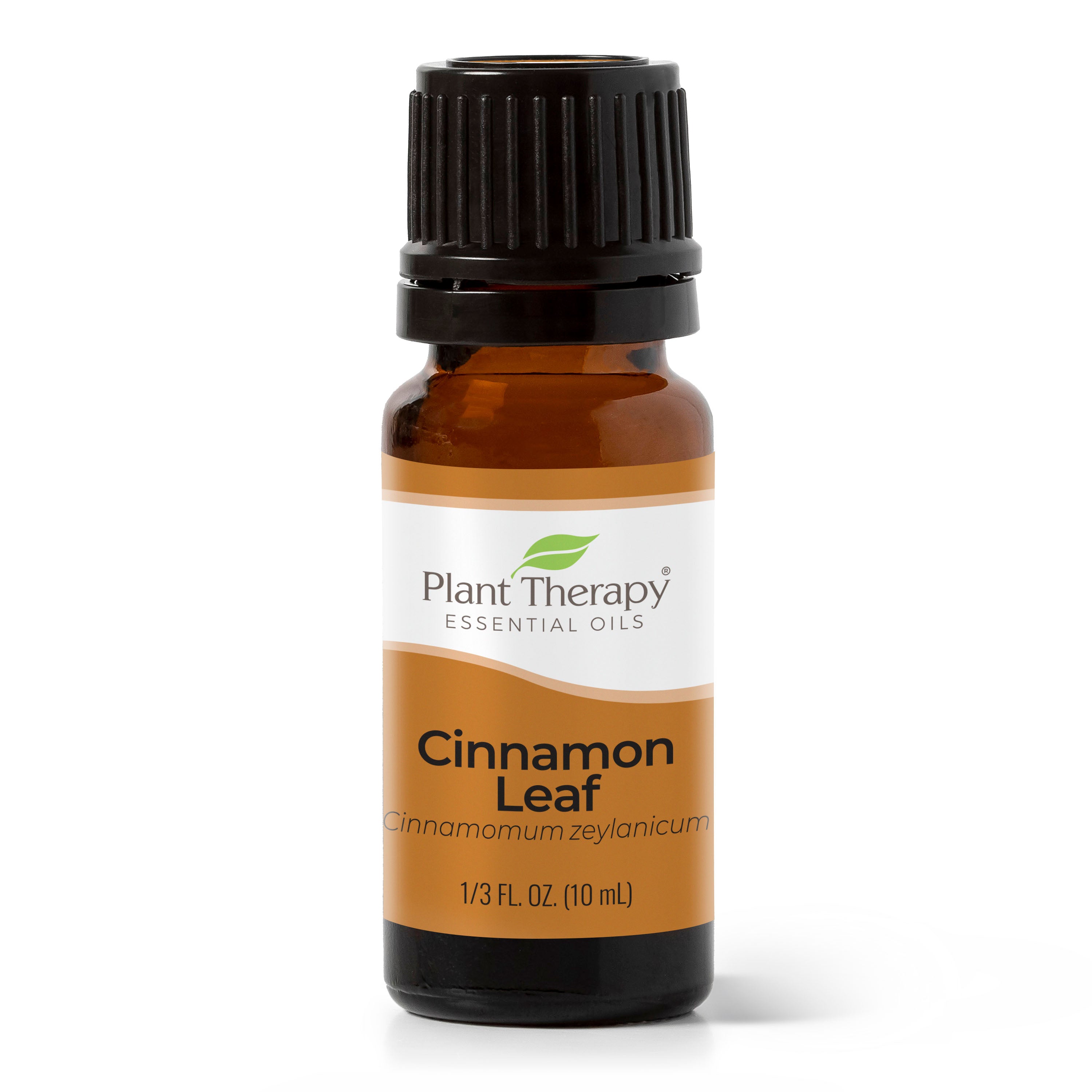 Cinnamon Leaf Essential Oil – Plant Therapy