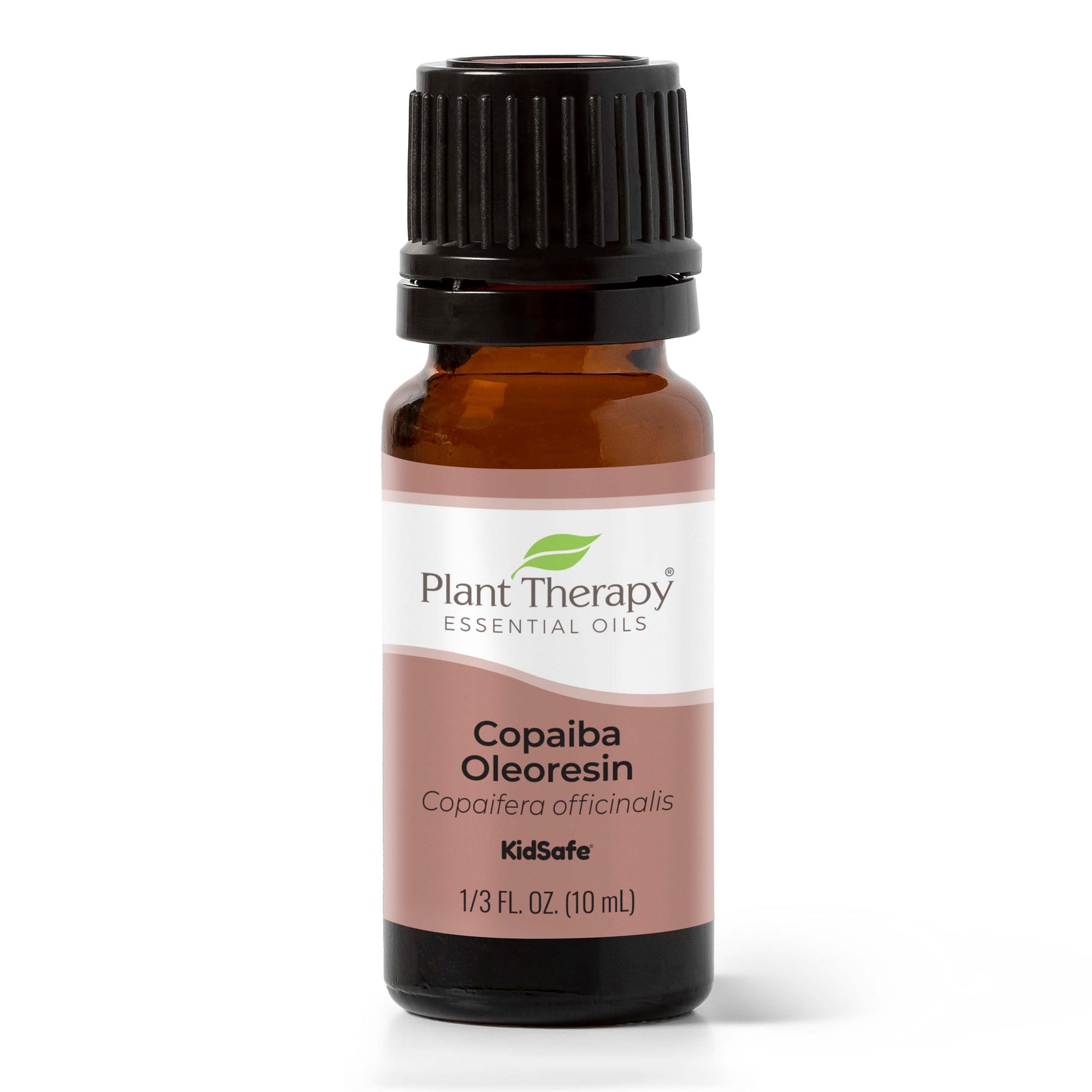 Copaiba Oil | Copaiba Oleoresin Oil For Muscle Pain | Plant Therapy