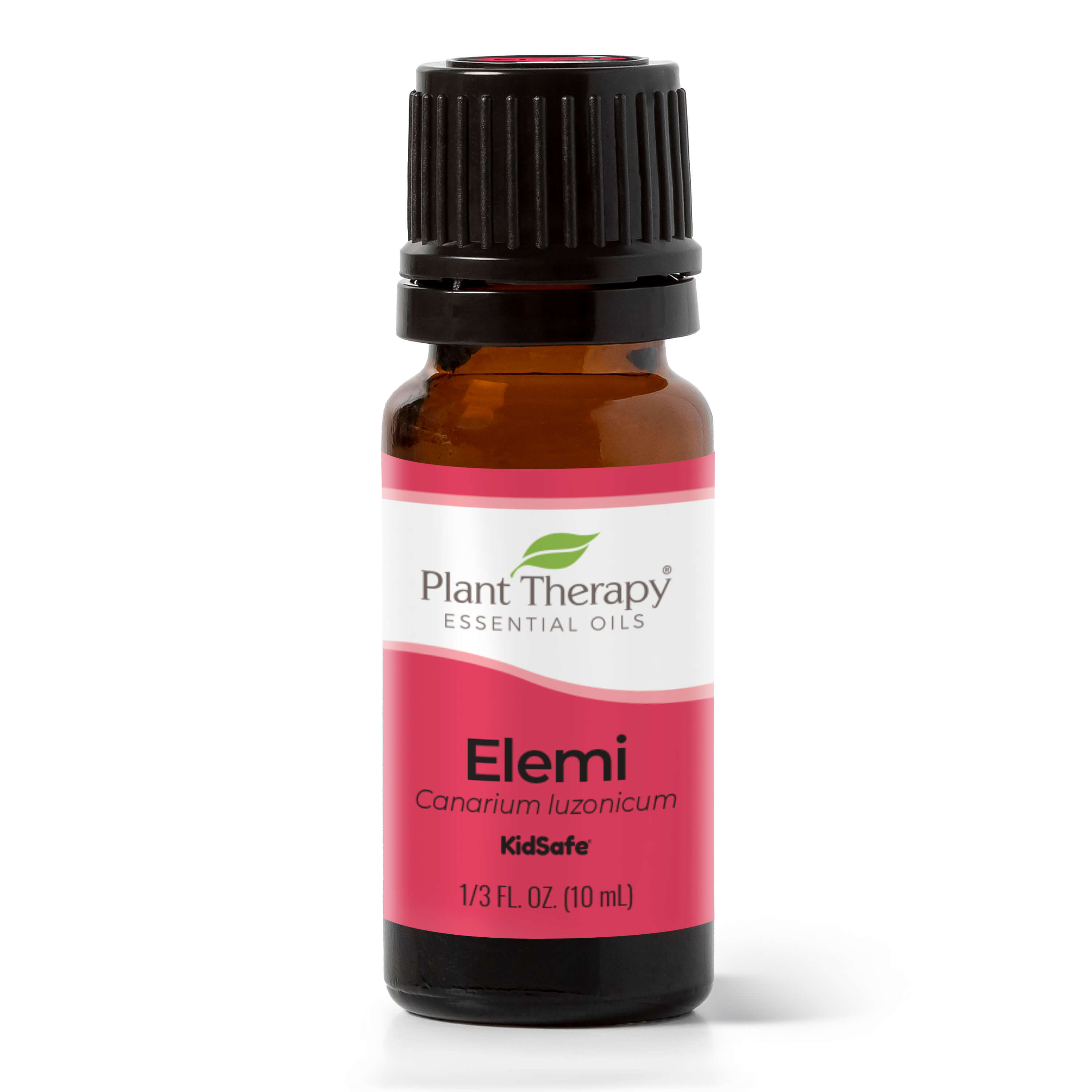 Elemi Essential Oil – Plant Therapy