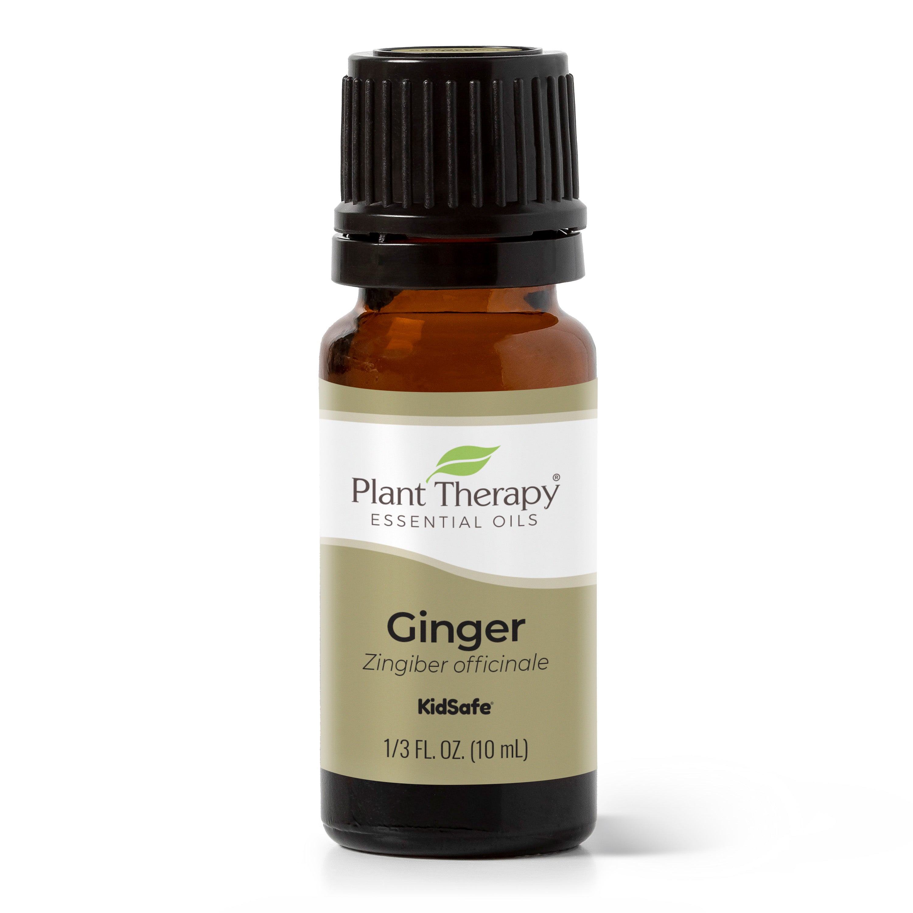Ginger Essential Oil – Plant Therapy