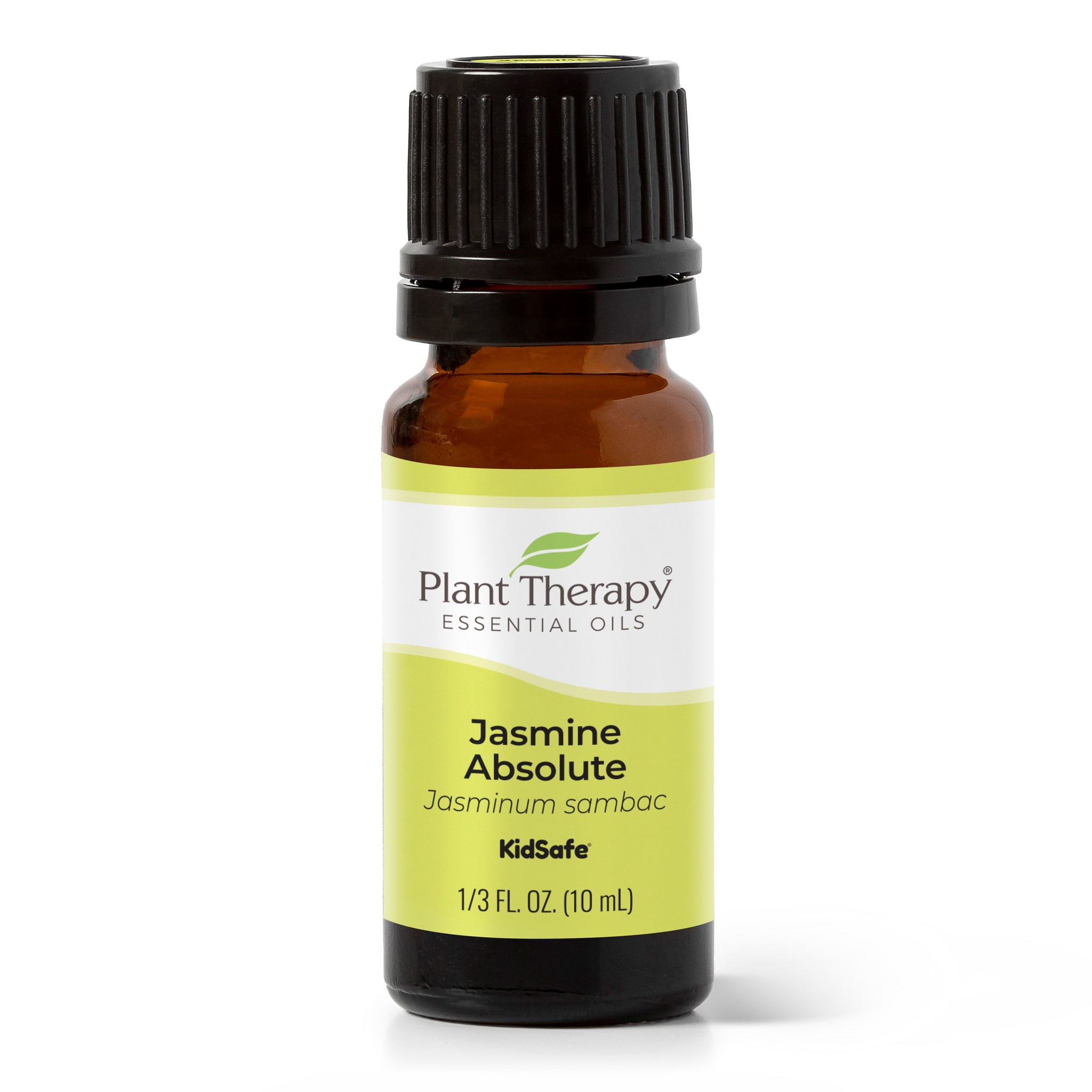 Jasmine Absolute Essential Oil – Plant Therapy