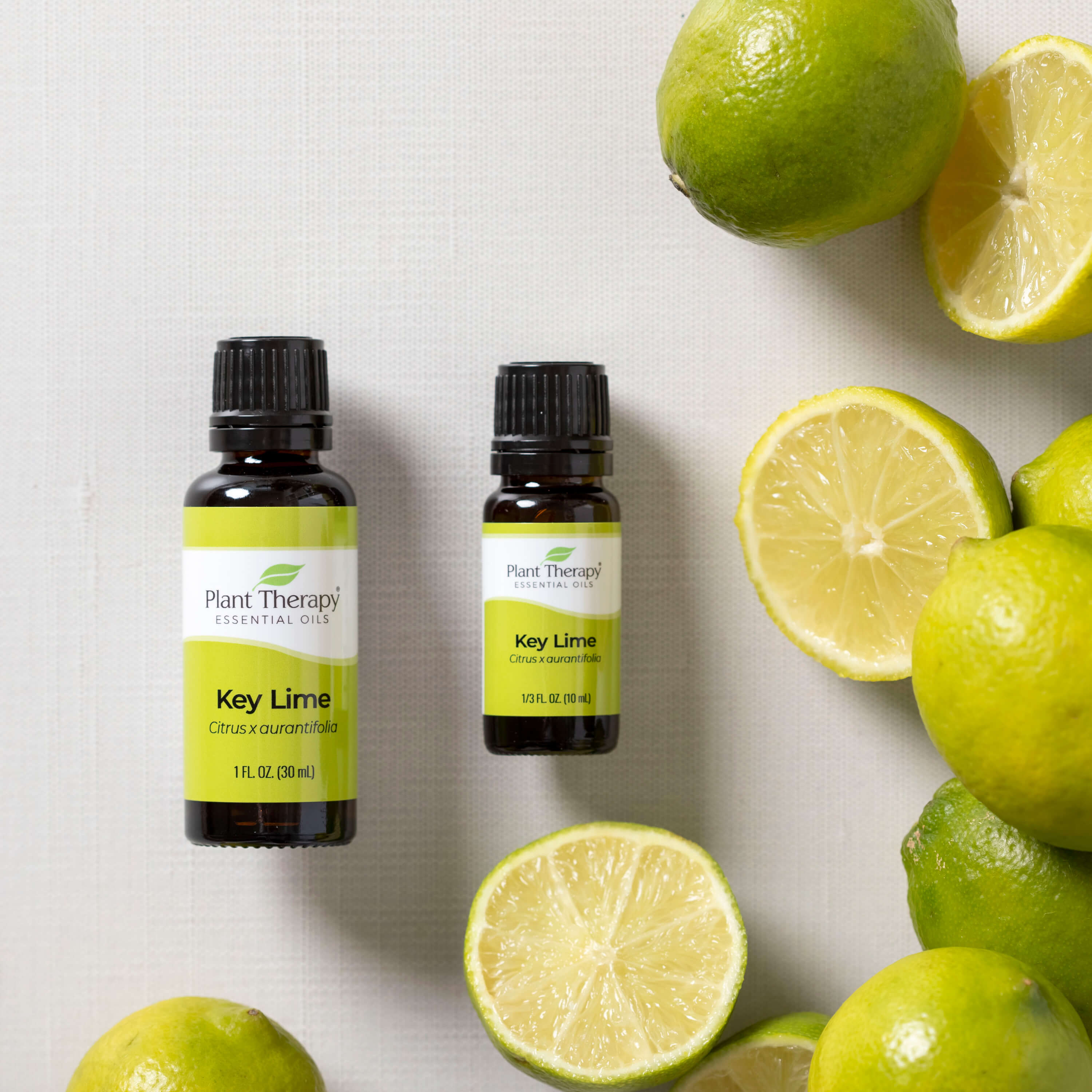 Key Lime Essential Oil – Plant Therapy