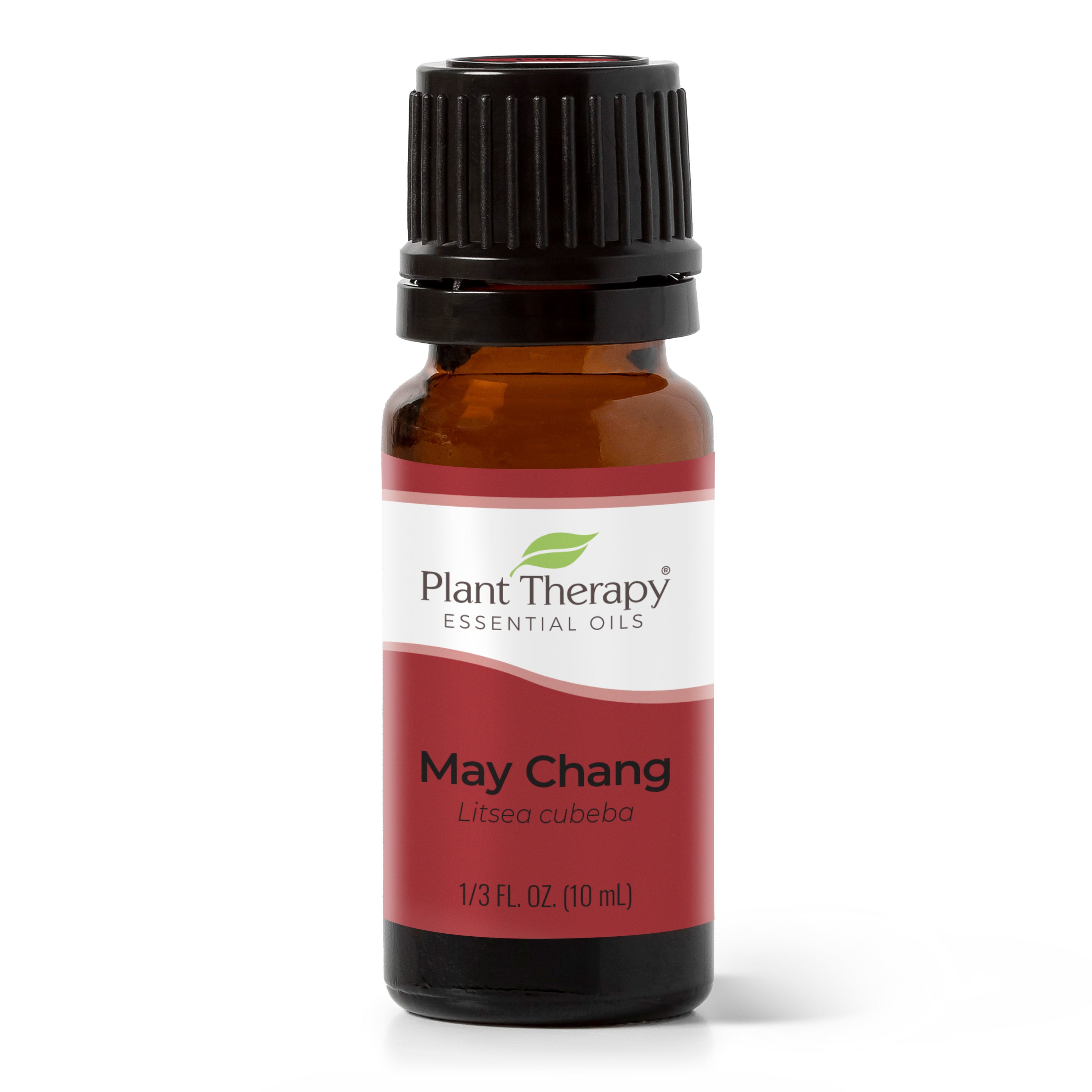 May Chang Essential Oil – Plant Therapy