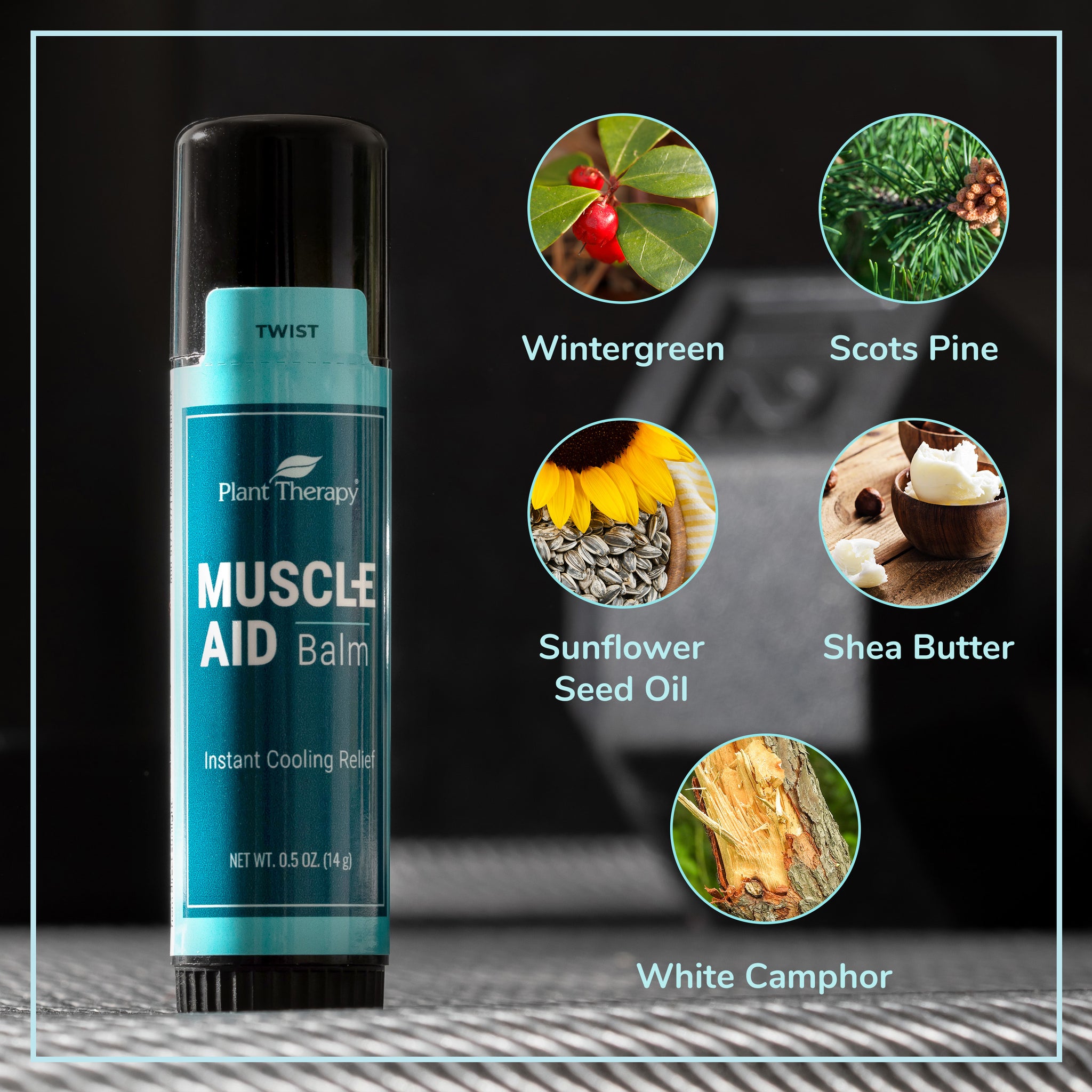 Muscle Aid Balm – Plant Therapy