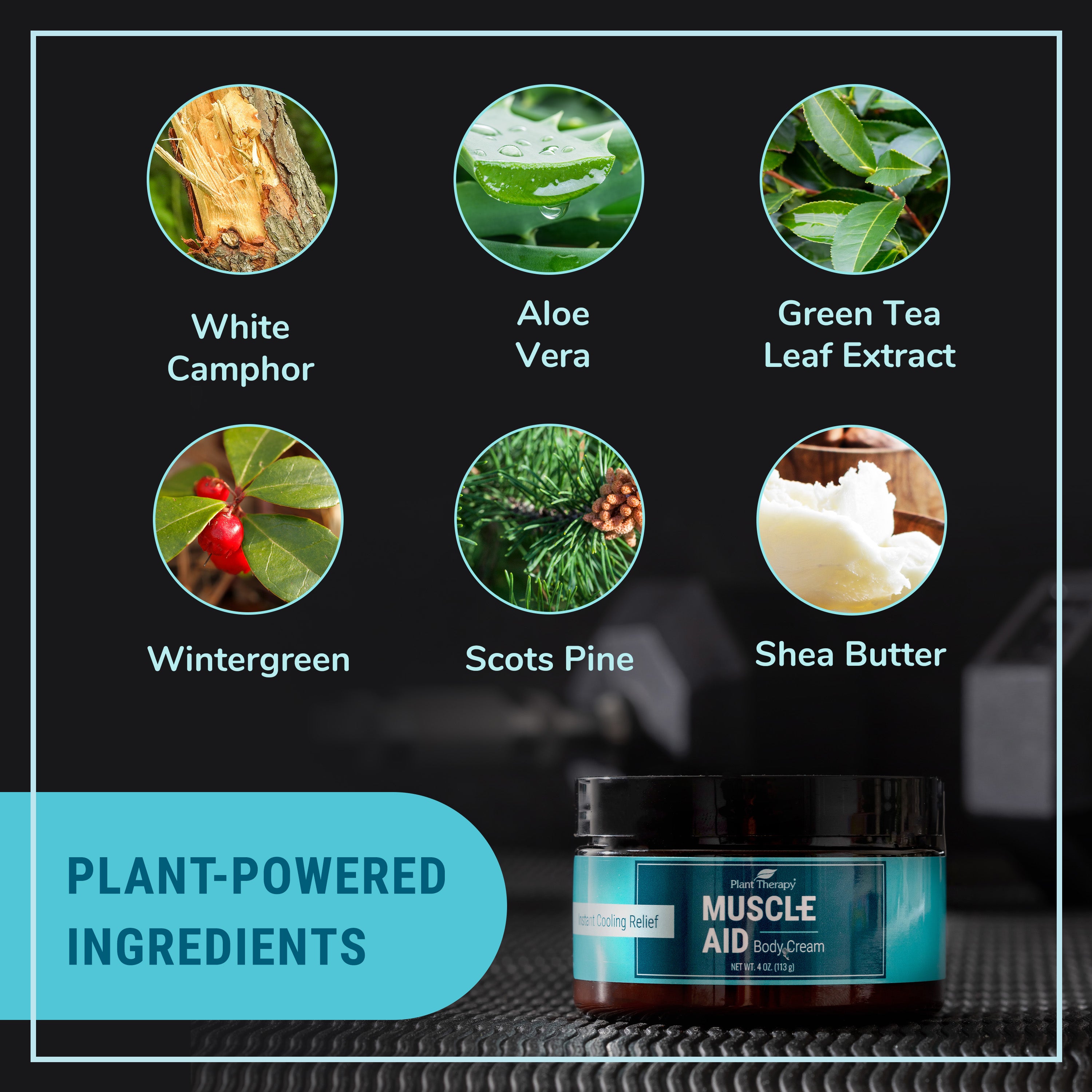 Muscle Aid Body Cream – Plant Therapy