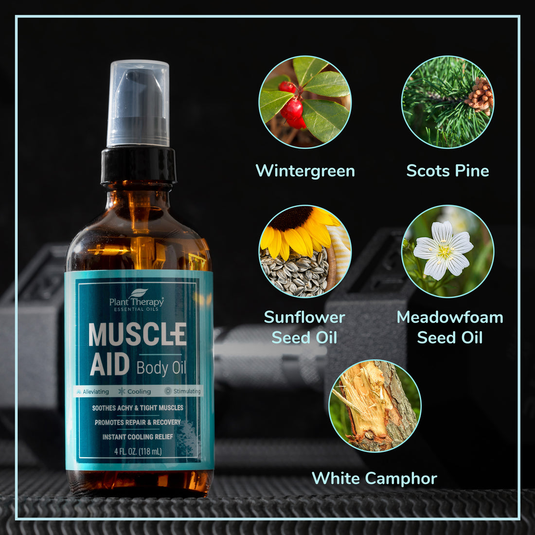Muscle Aid Body Oil – Plant Therapy