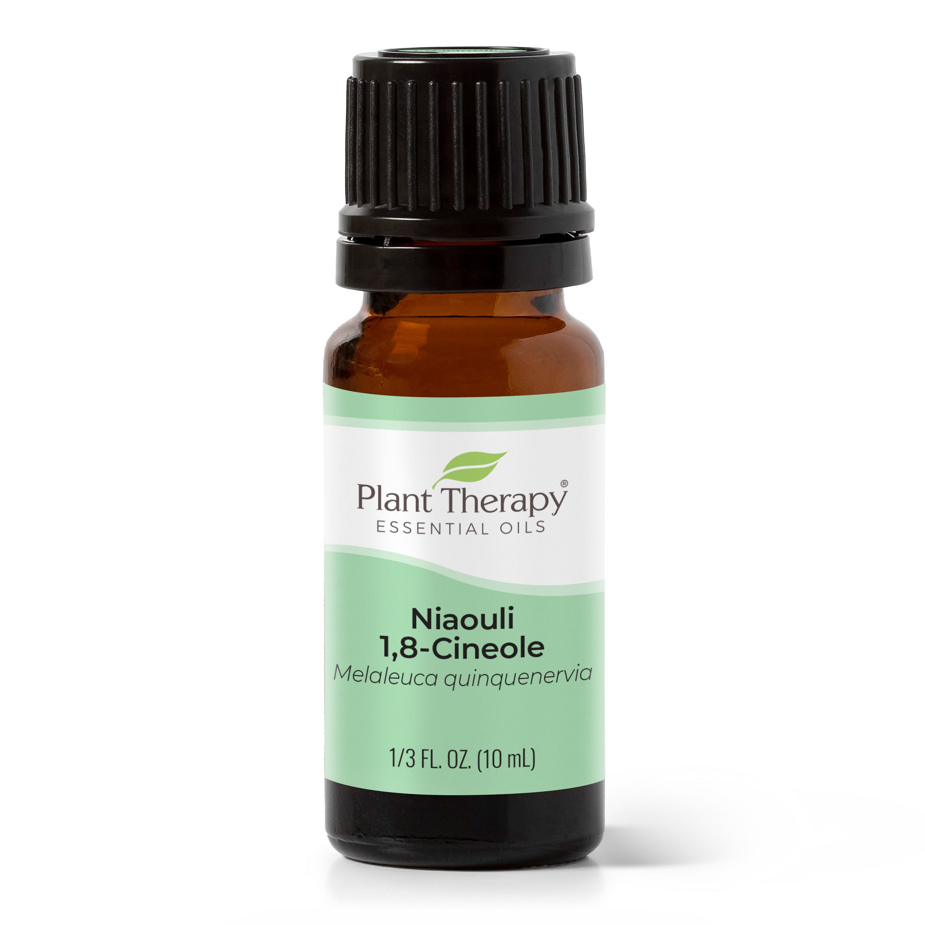 Niaouli 1,8-Cineole Essential Oil – Plant Therapy