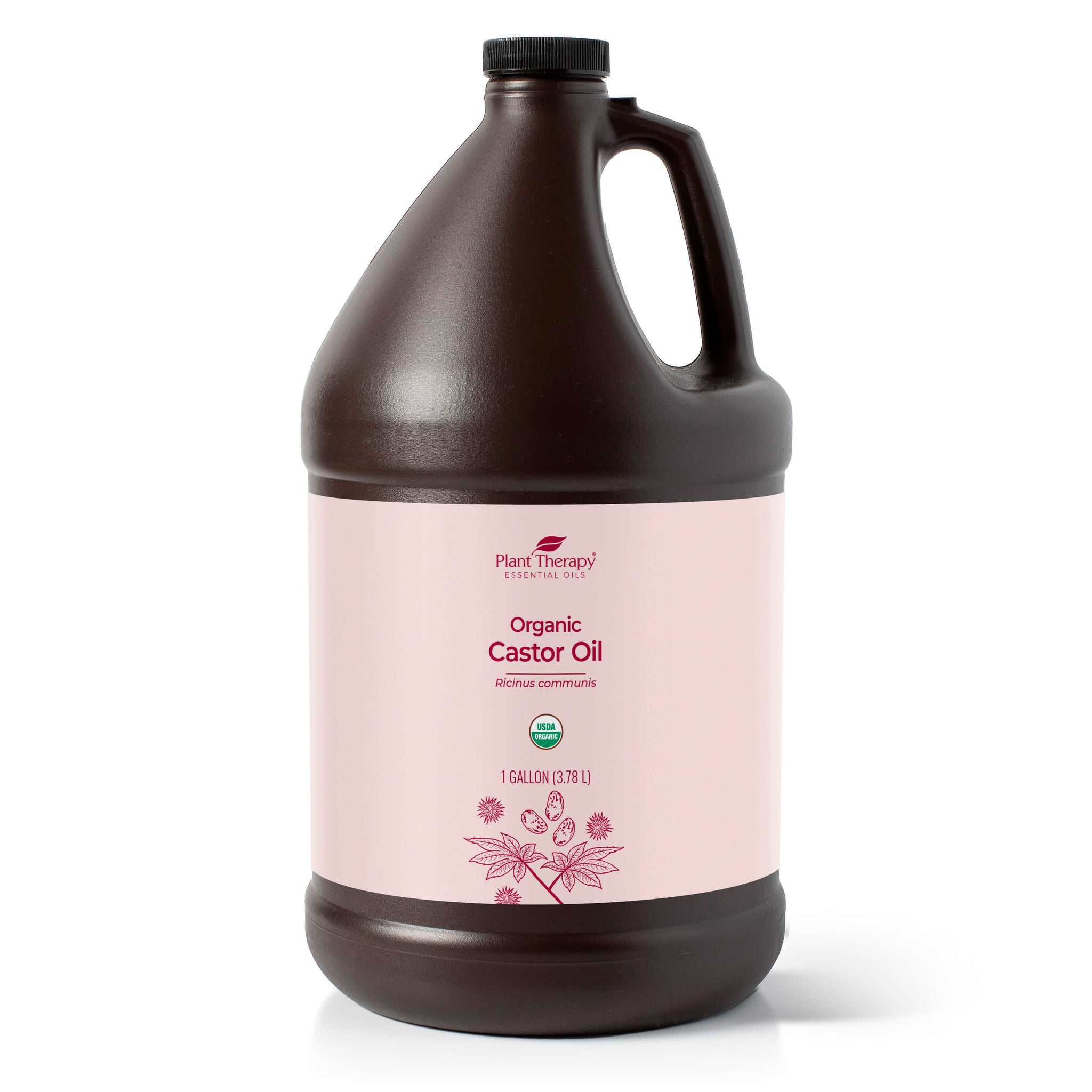 Organic Castor Carrier Oil Bulk – Plant Therapy