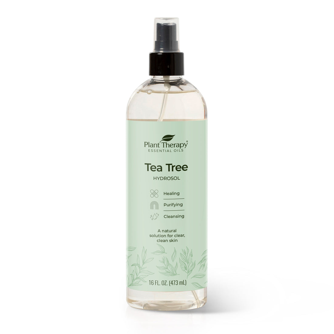 Tea Tree Hydrosol – Plant Therapy