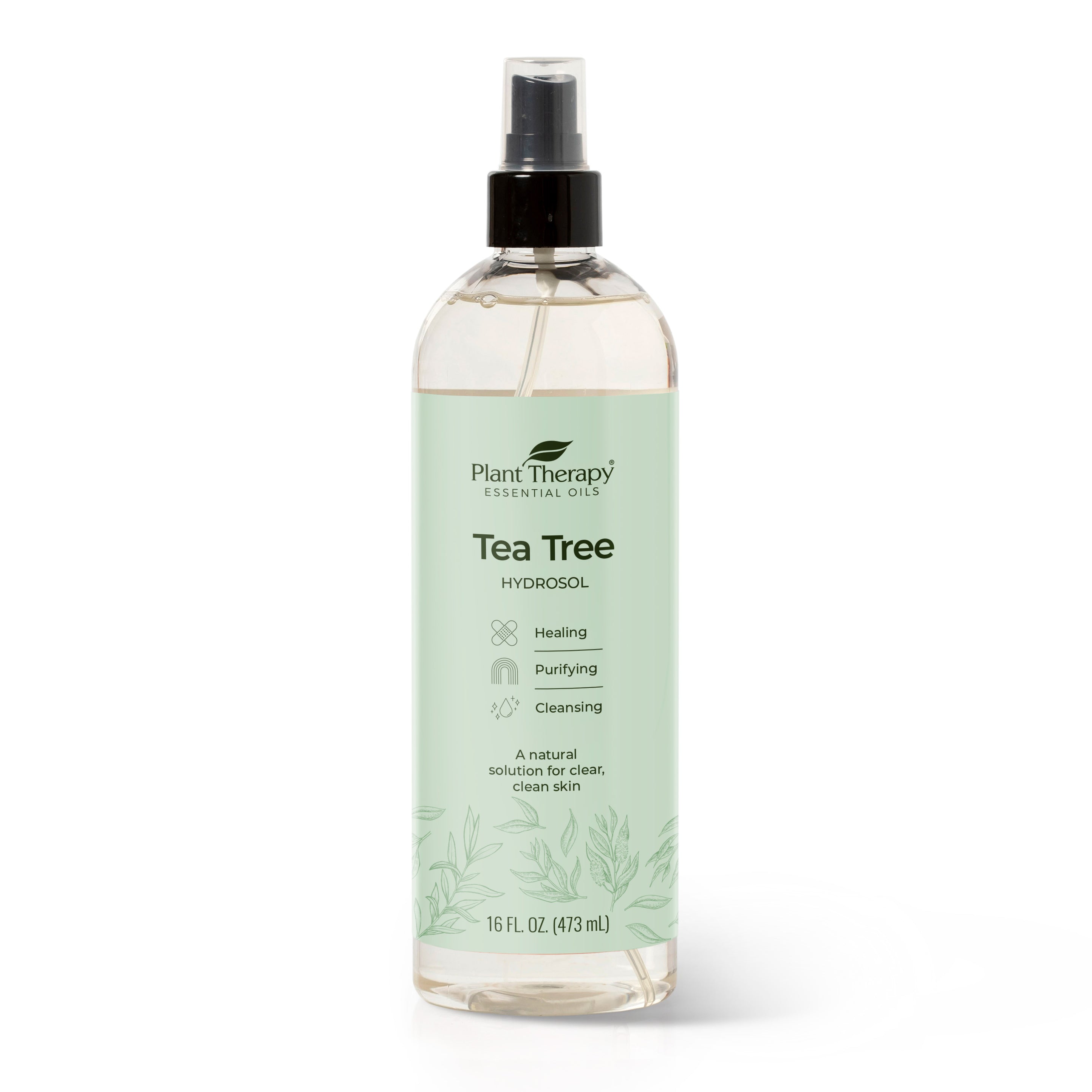 Tea Tree Hydrosol – Plant Therapy