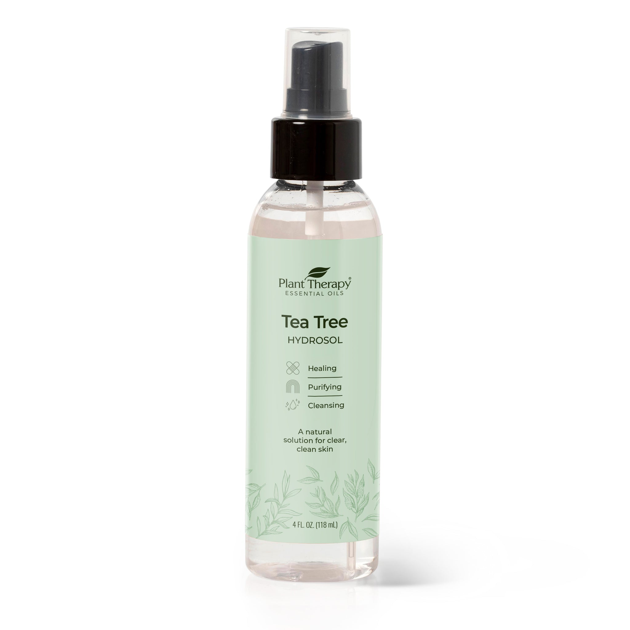 Tea Tree Hydrosol – Plant Therapy