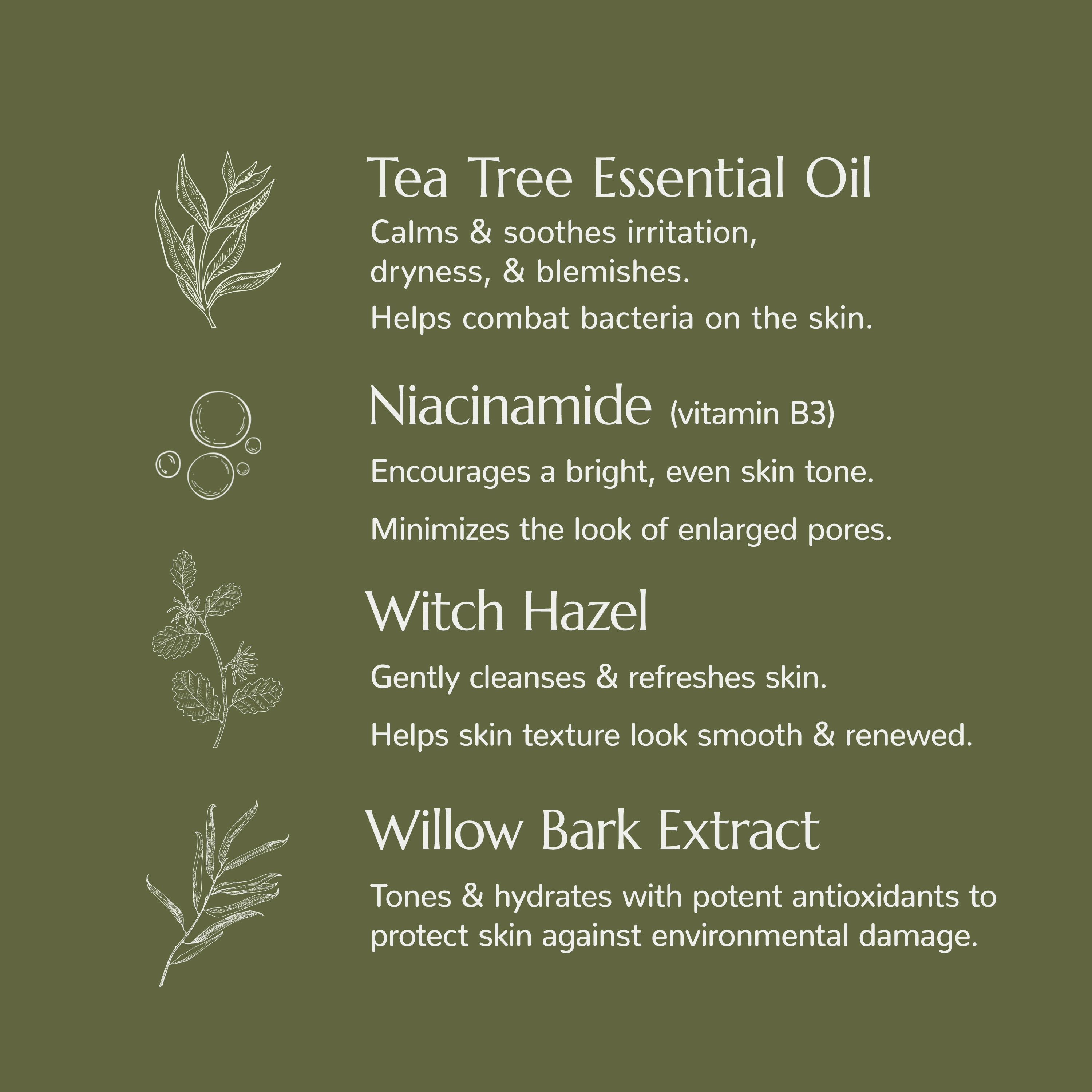 Tea Tree with Niacinamide Facial Serum – Plant Therapy