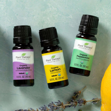Essential Oil Sets at Plant Therapy - Singles, Blends & Roll-Ons in One ...