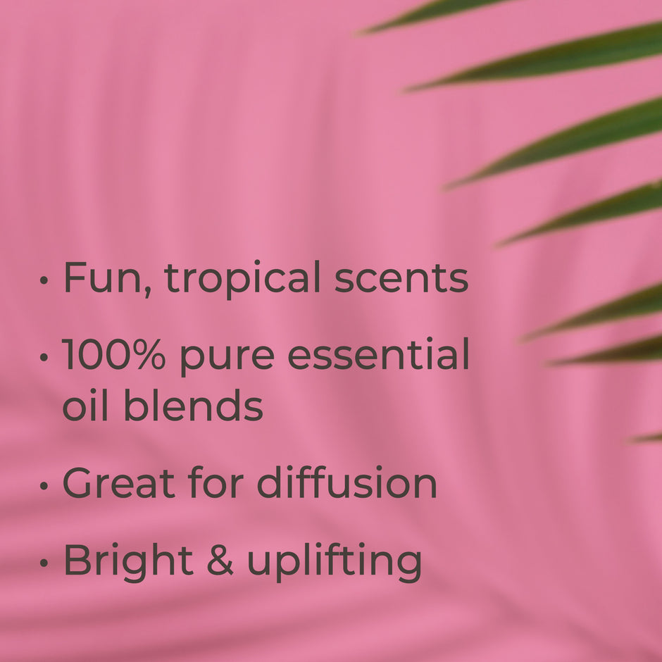 Essential Oil Sets at Plant Therapy - Singles, Blends & Roll-Ons in One ...